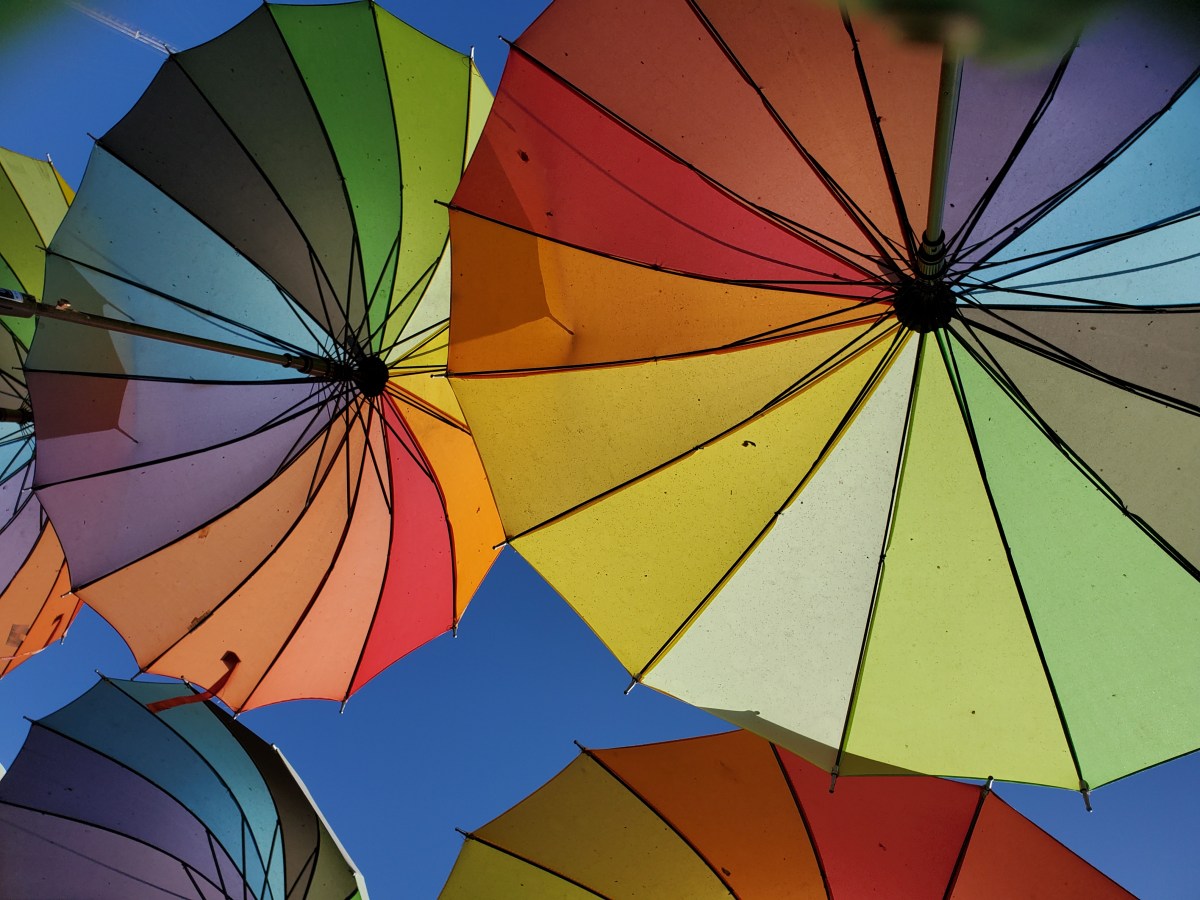 Sights and colours of Ixtapa and Zihuatanejo…. | Susan Feniak's Art